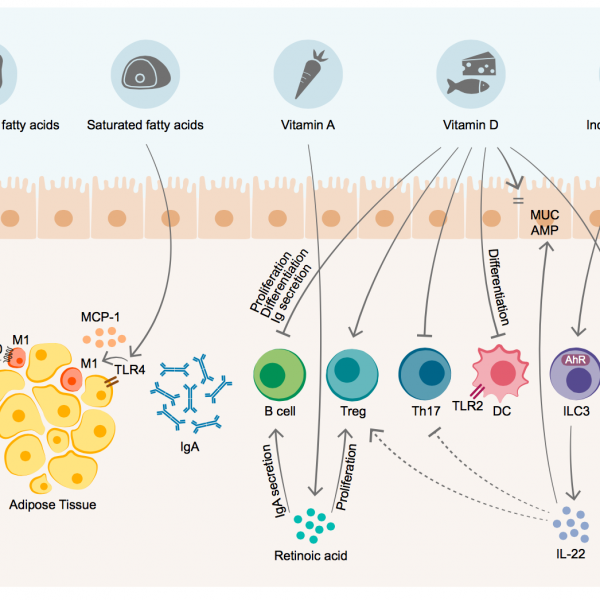 Dysbiosis And The Immune System Nature Reviews Immunology Levy Lab
